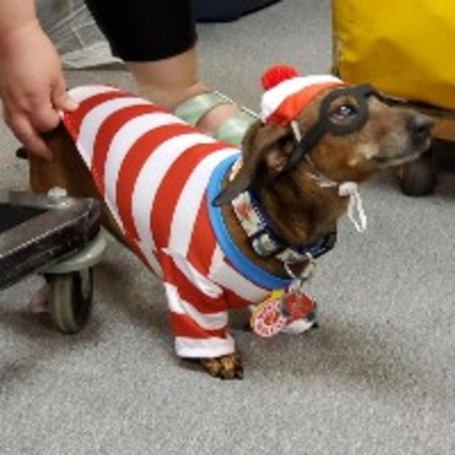 Posh Show - Poshmark